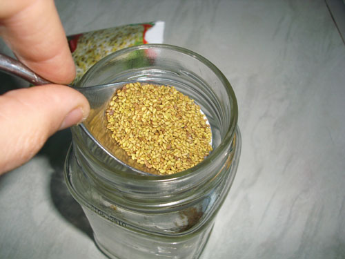 How To Sprout Seeds In A Jar | In The Garden | Garden
