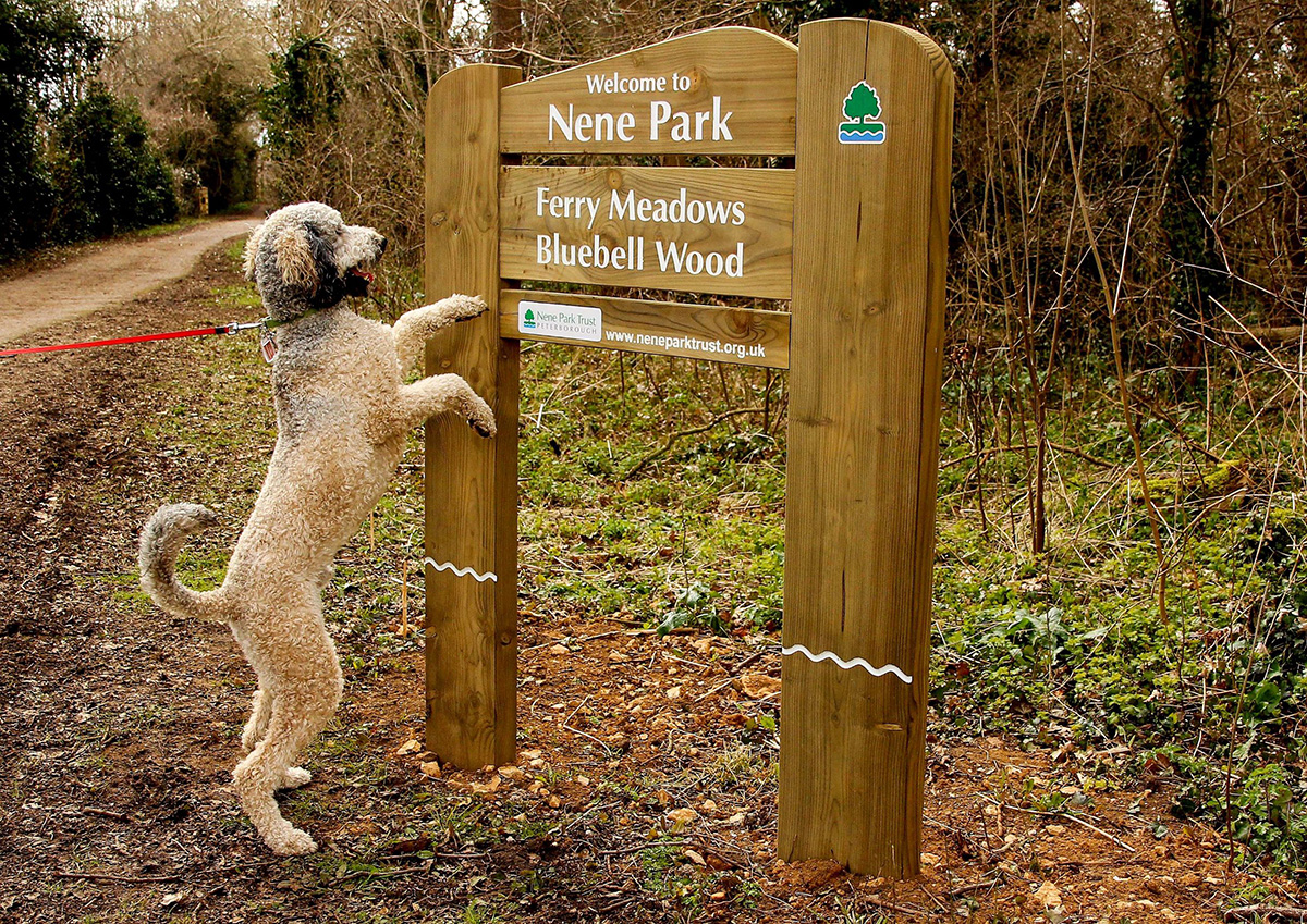 Barking beauties | Free Time - The Moment Magazine