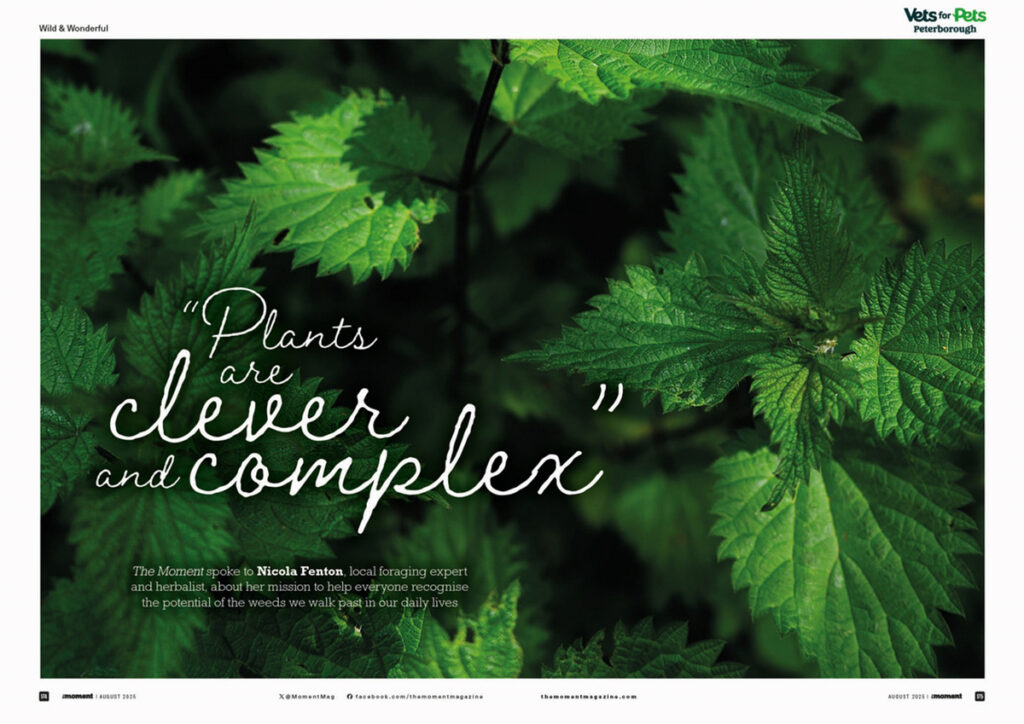 "Plants are clever and complex" | Lifestyle - The Moment Magazine
