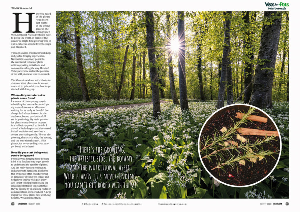 "Plants are clever and complex" | Lifestyle - The Moment Magazine